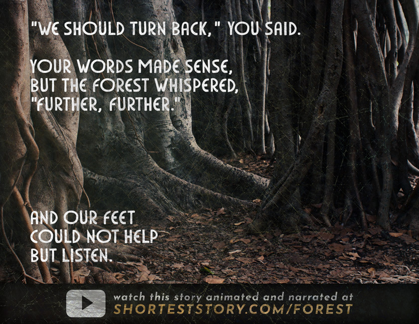 THE FOREST WHISPERED // a postcard story you can see animated at http ...